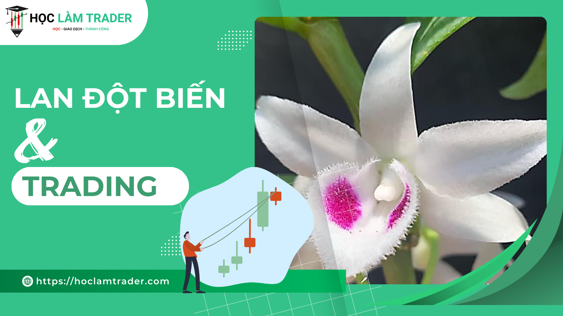 Case Study: Lan Đột Biến Và Chiêu Trò Gom Hàng Trong Thị Trường Trading