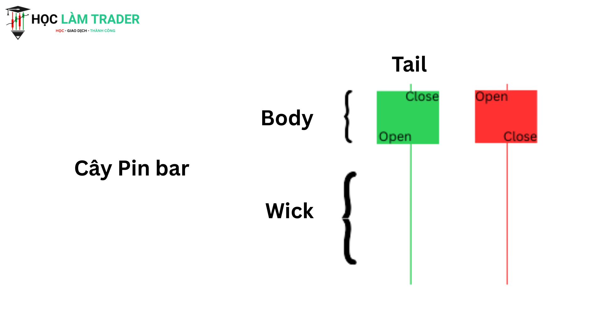 Pin Bar Là Gì? Cách Nhận Diện Và Sử Dụng Pin Bar Trong Trading
